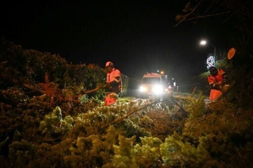 Storms spark travel mayhem and power cuts in northern Europe | National ...