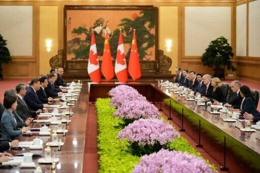 Canada's Carney hails 'strategic partnership' in talks with Xi ...