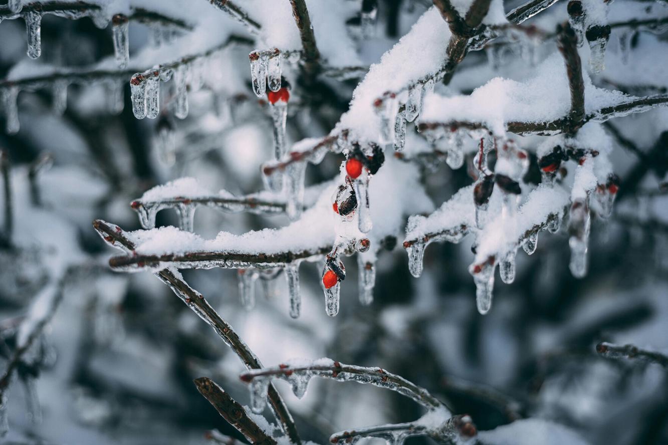 National Weather Service issues ice storm warning for Ashley County ...
