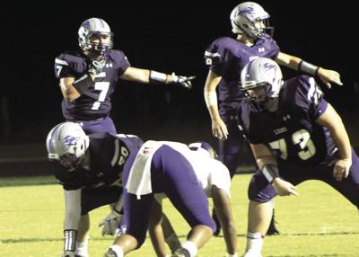 Hamburg sends Ashdown home with an ‘L’ | Sports | ashleynewsobserver.com