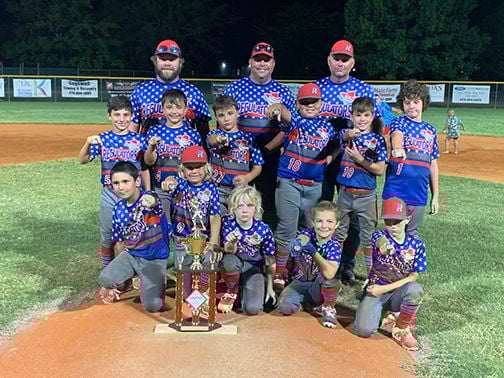 Local baseball teams compete in tournaments, championships | Sports ...