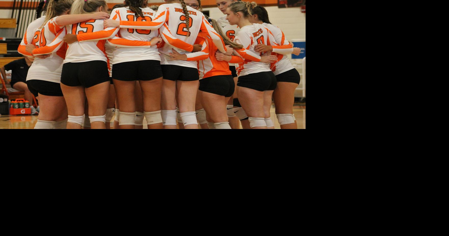 Lady Buckeyes drop battle with Warren in straight sets | Sports ...