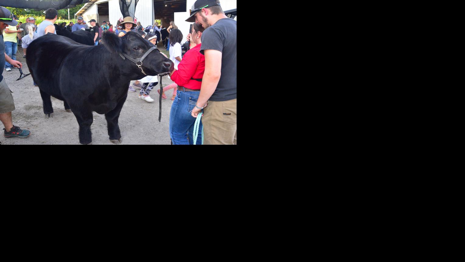 Athens Fair Judging Results for various categories | News ...