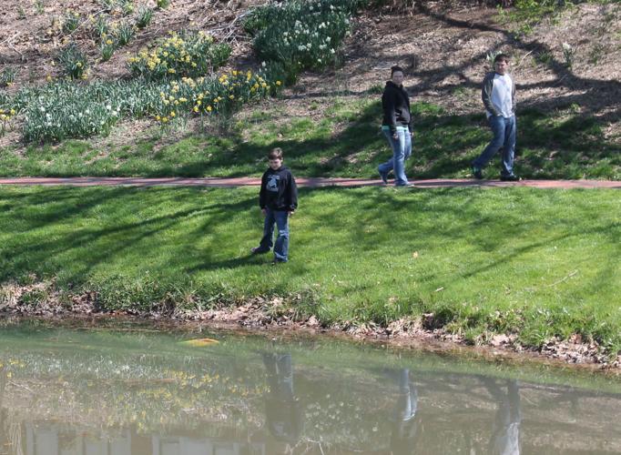 Spring in Athens | News | athensmessenger.com