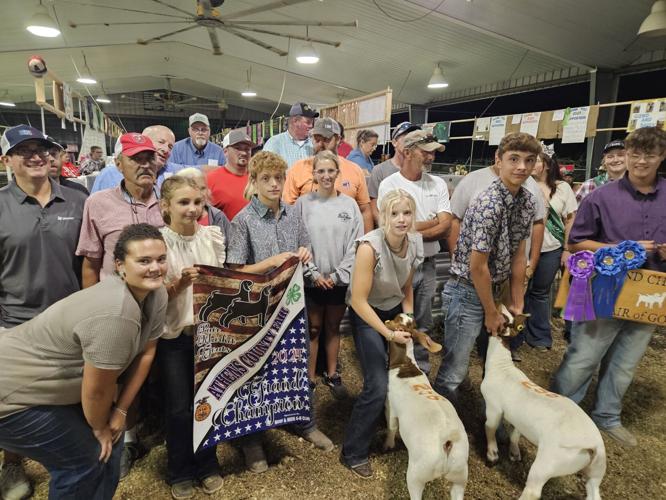 Livestock Sale and results | Athens County Fair | athensmessenger.com