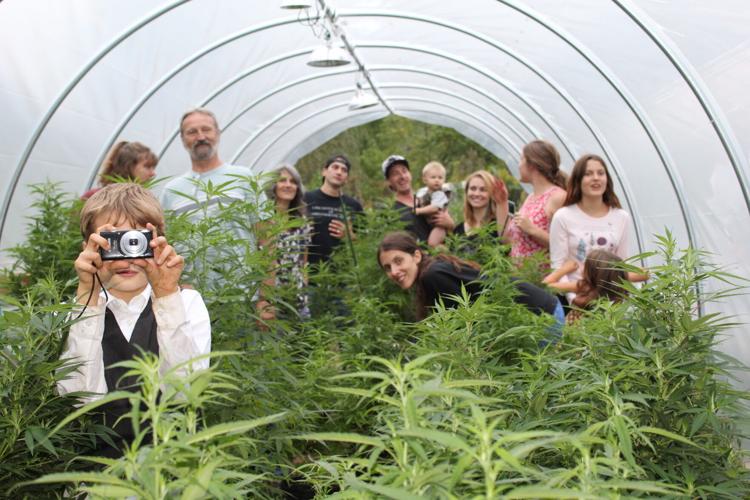 A field of cannabis opens to visitors this summer | | athensmessenger.com