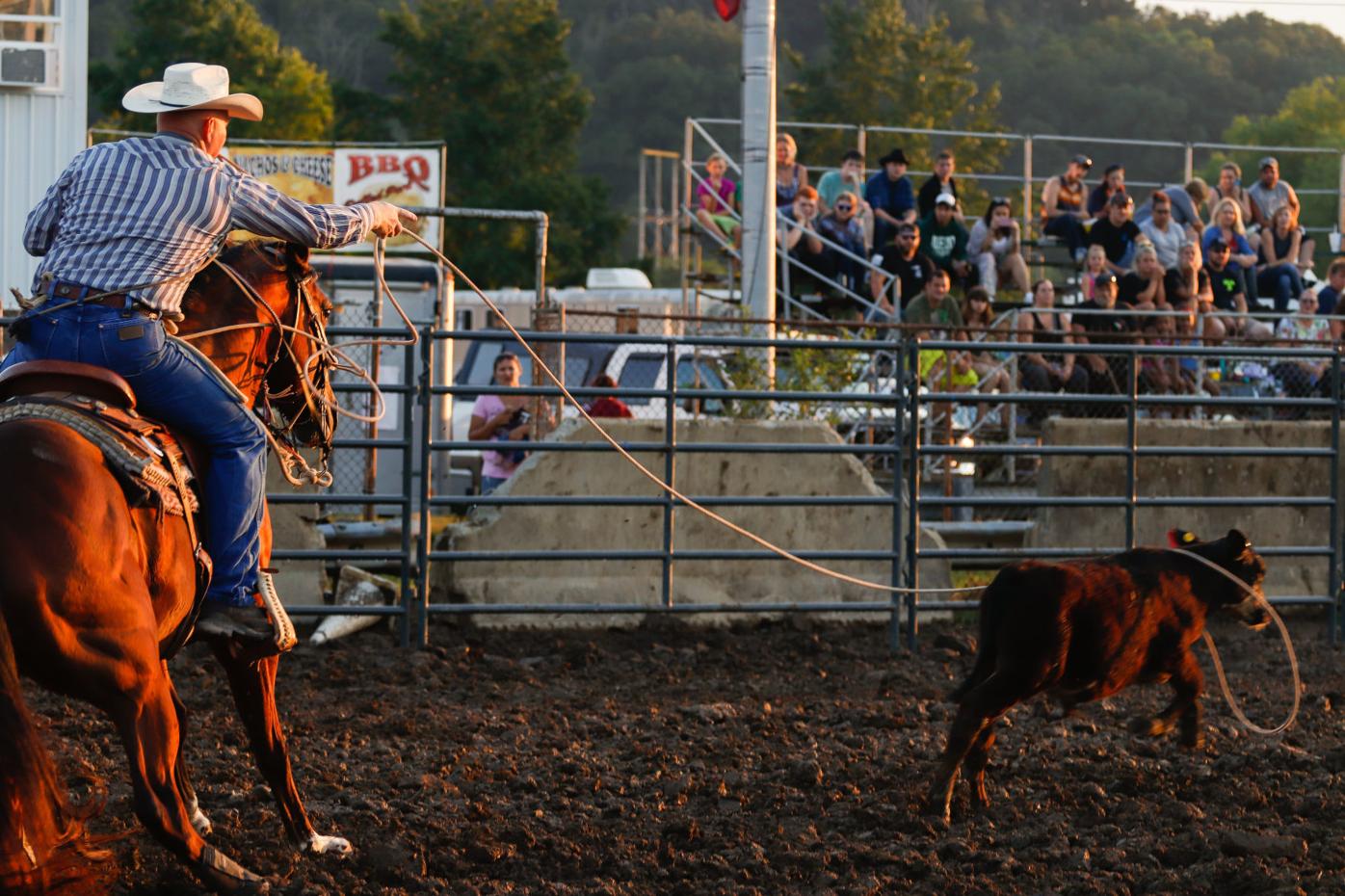 GALLERY: Rodeo at the Athens County Fair | Uploaded Photos ...