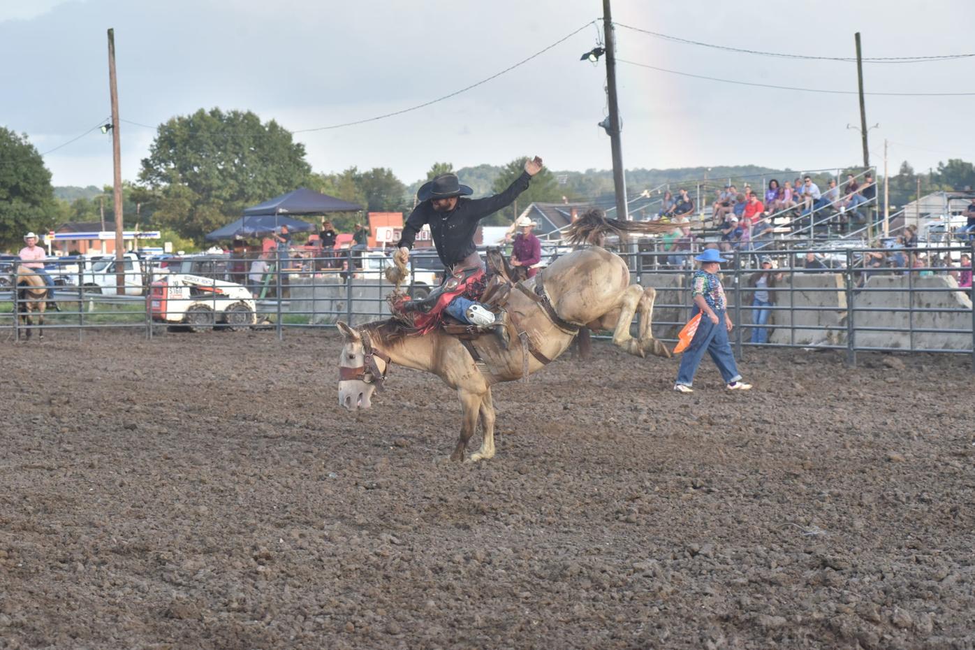 GALLERY: Rodeo at the Athens County Fair | Uploaded Photos ...