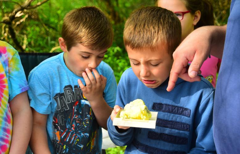 Earth Day activities abound at Morrison-Gordon Elementary School | News ...