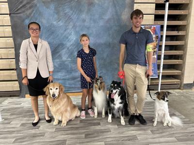 Athens County 4-H members compete at Ohio State Fair Dog Show | Connect ...