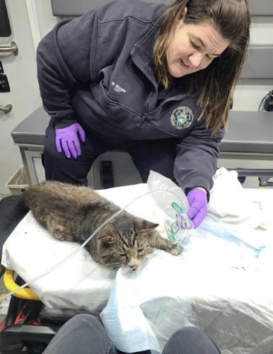 Cat saved from fire in Buchtel | Police & Fire Reports ...