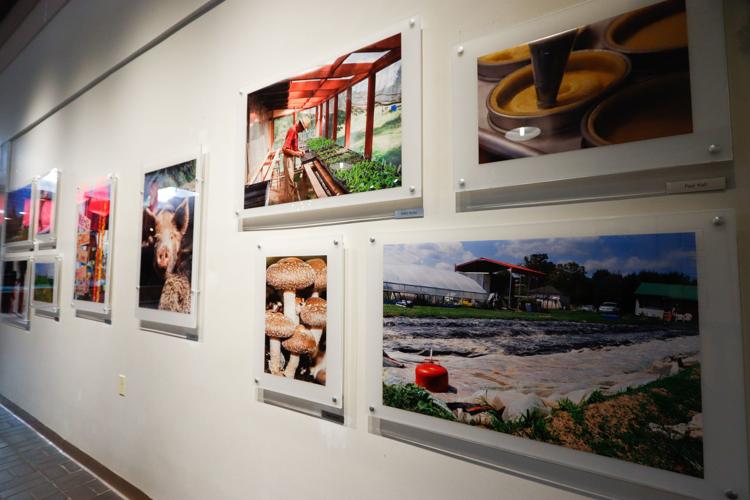 Athens Photo Project works with Farmers Market | News | athensmessenger.com