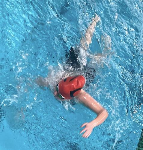 OHSAA sectional swim meet | Multimedia | athensmessenger.com