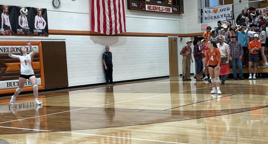 Buckeyes bounce Wellston in straight sets | Sports | athensmessenger.com