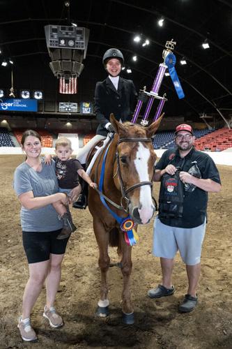 Local 4-H member wins big at Ohio State Fair Junior Horse Show ...