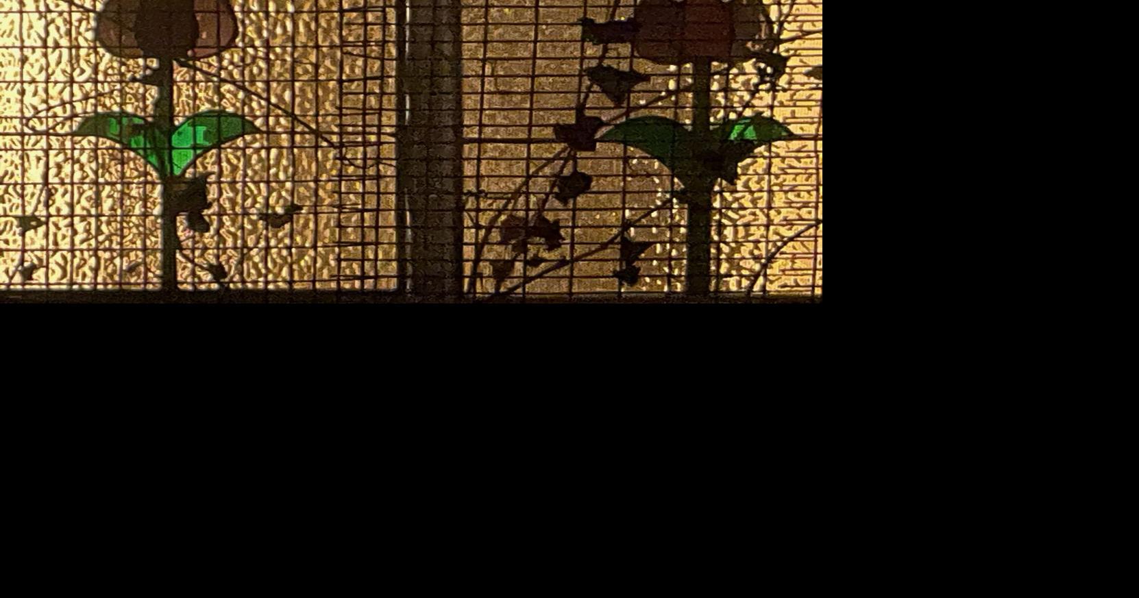 Throwback Thursday: Windows of stained glass | | athensmessenger.com