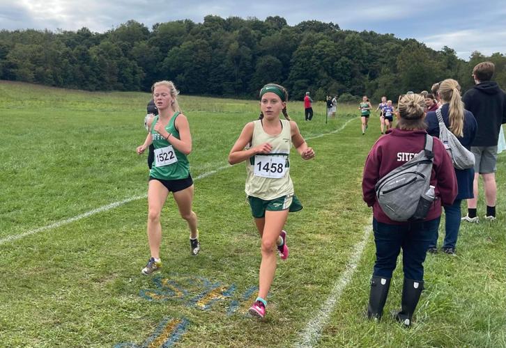 Bulldogs' XC competes at Division 1 meet | Sports | athensmessenger.com