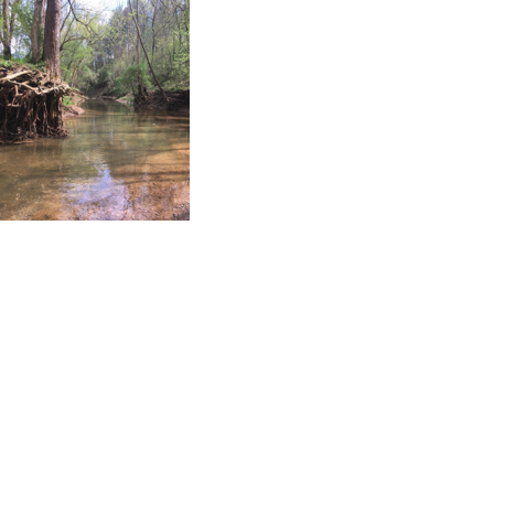 OEPA grants Rural Action and Ohio University funds to transform Ohio's ...