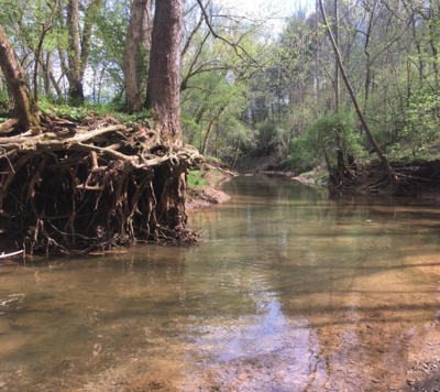 OEPA grants Rural Action and Ohio University funds to transform Ohio's ...