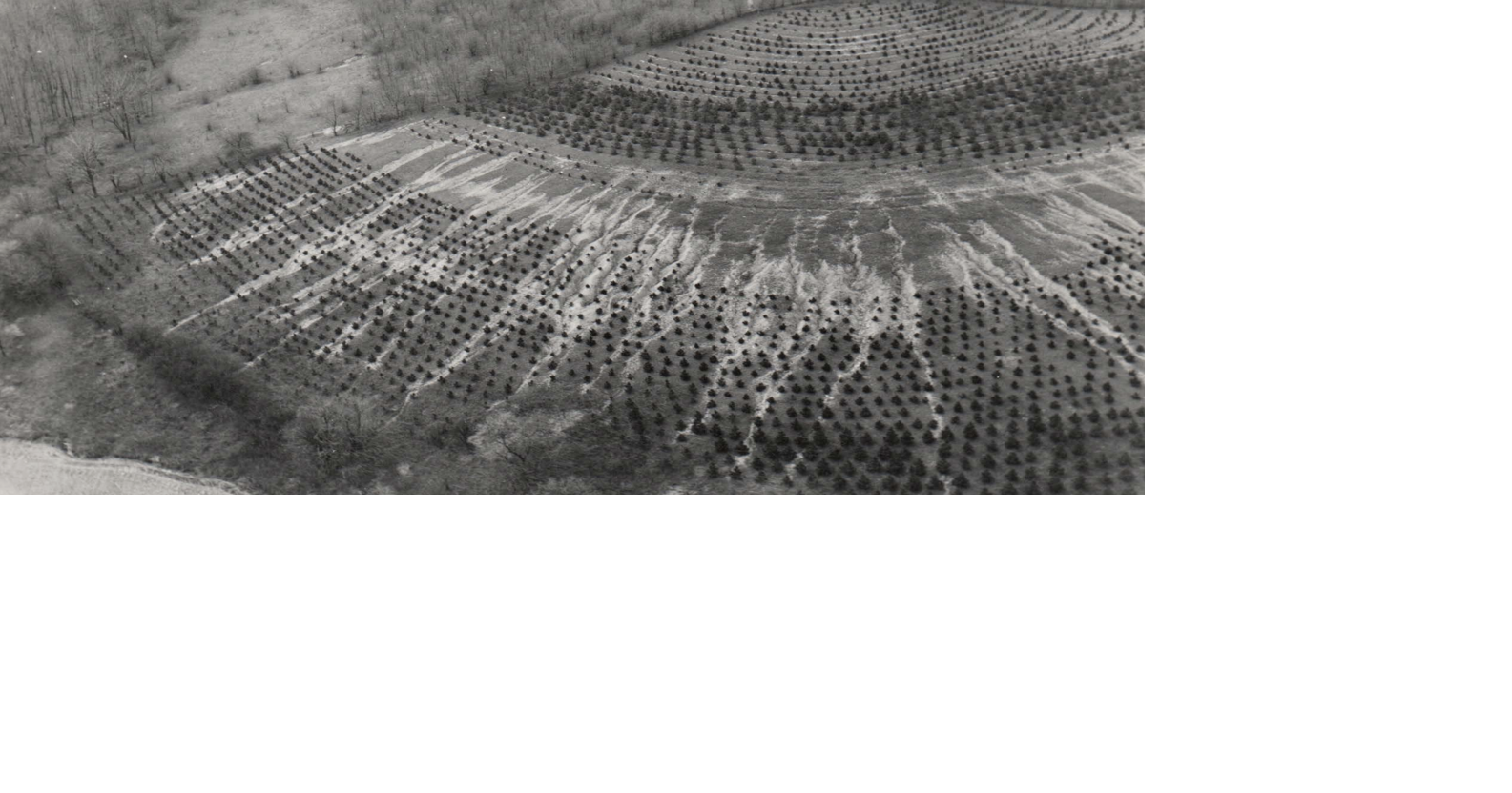 Throwback Thursday - The early deforestation of the State of Ohio ...