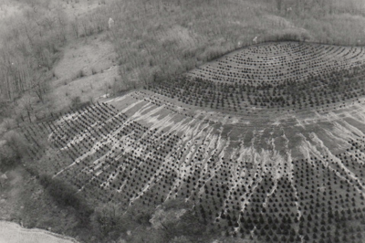 Throwback Thursday - The early deforestation of the State of Ohio ...