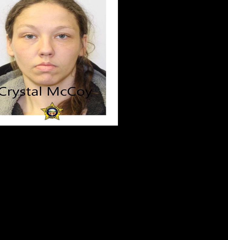 Three arrested as suspects of a series of thefts | Police & Fire Reports | athensmessenger.com
