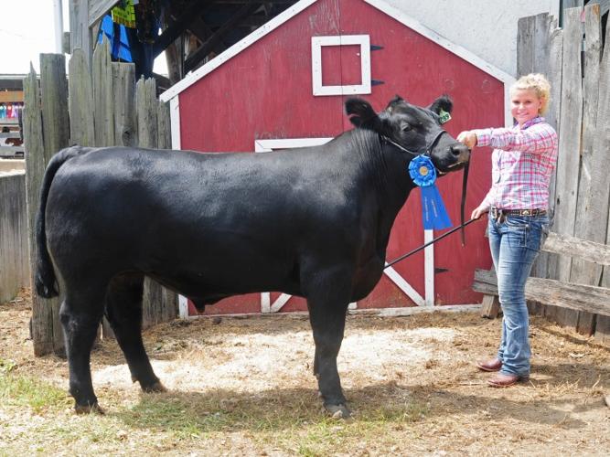 Athens County Fair showmanship winners 2013 | News | athensmessenger.com