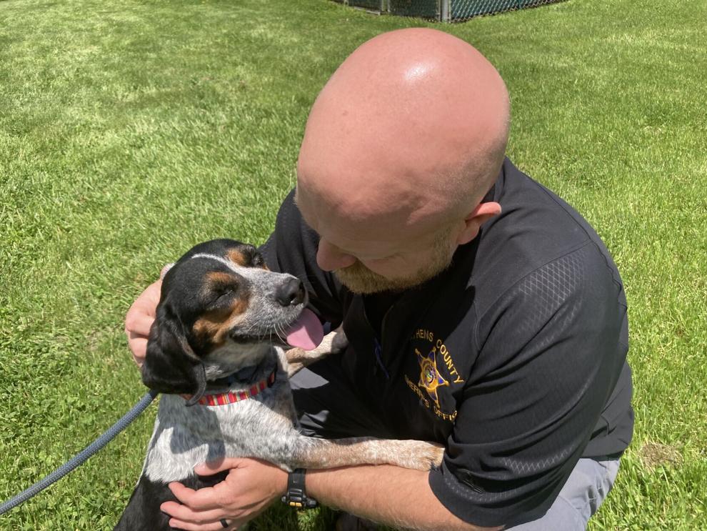 National Rescue Dog Day seeks to reduce overcrowding at animal shelters ...