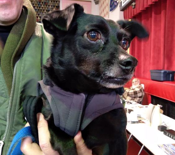 Shade center hosts hamfest | Connect | athensmessenger.com