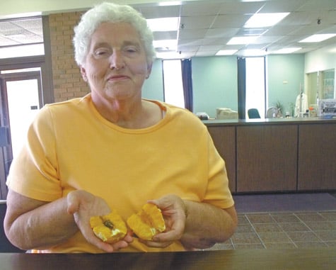 There’s no morel of this story | News | athensmessenger.com