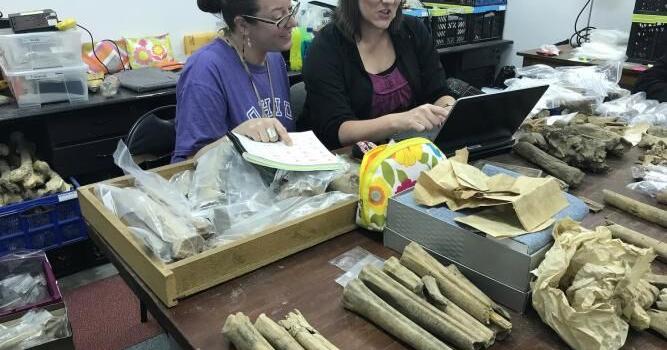 Team led by Ohio University professor finds early evidence of hominins ...