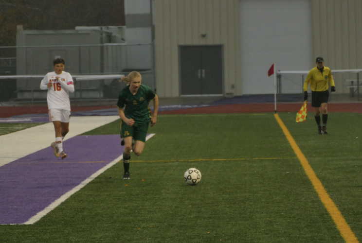 Bulldogs advance to district finals | Sports | athensmessenger.com