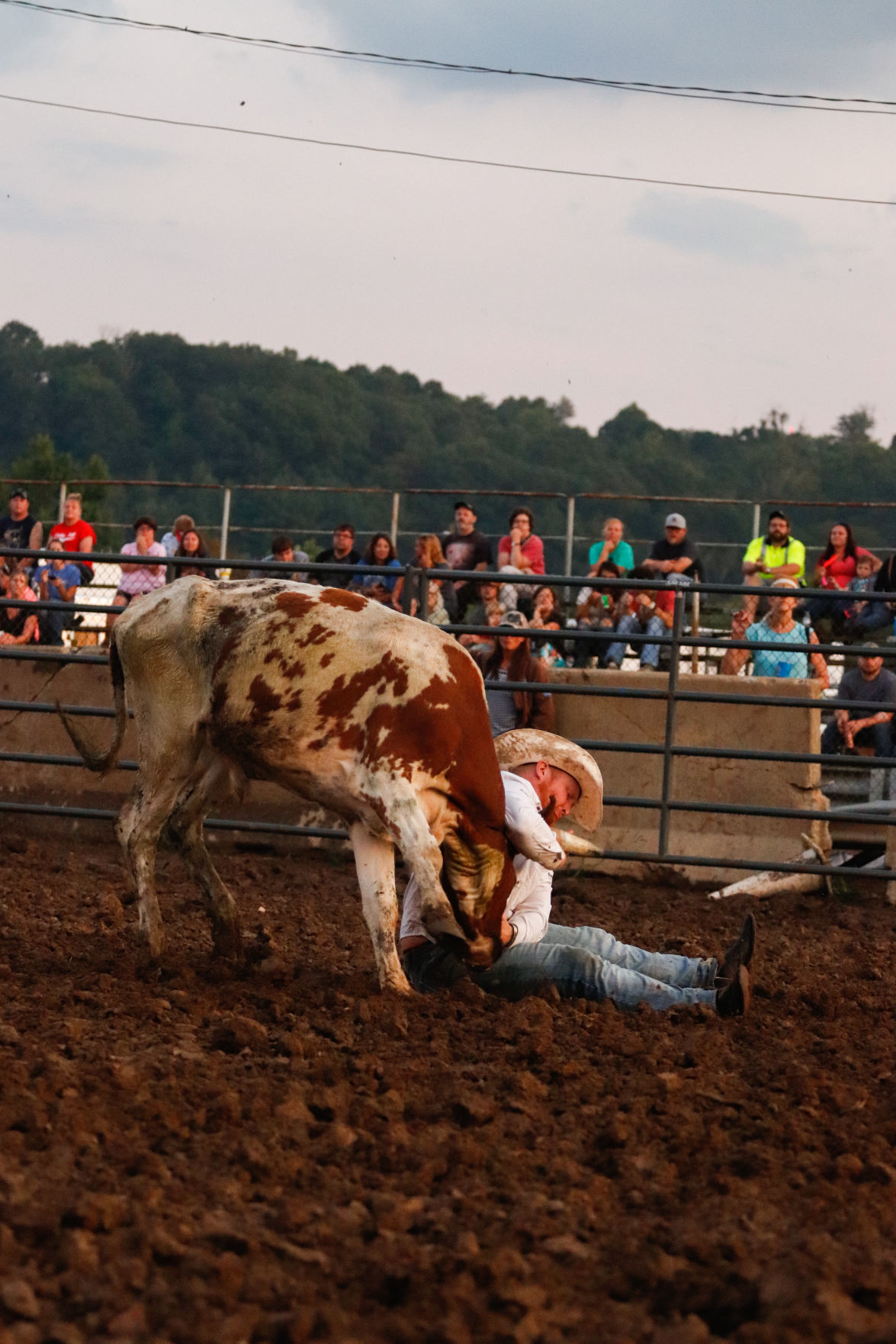 GALLERY: Rodeo at the Athens County Fair | Uploaded Photos ...
