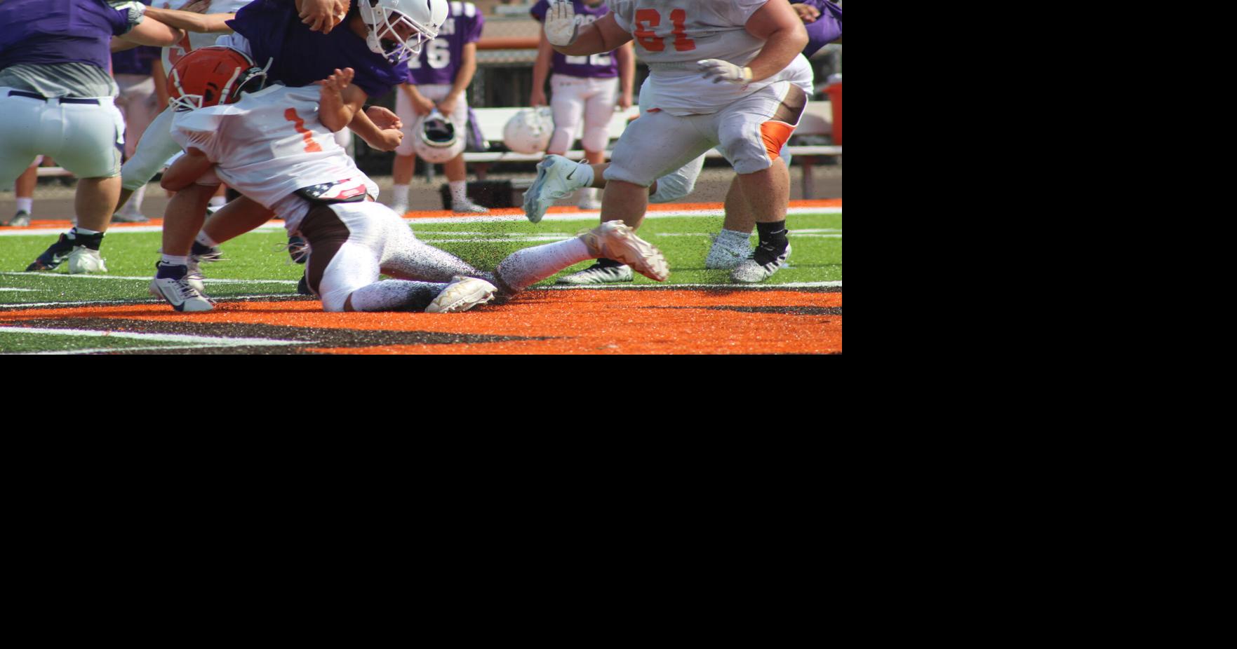 Williams shines through the air for Buckeyes during scrimmage with ...