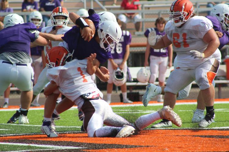 Williams shines through the air for Buckeyes during scrimmage with ...