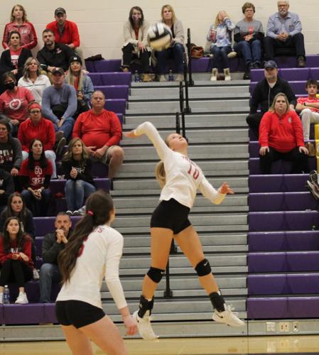 Athens County awards: Female Athletes of the Year | Local Sports ...