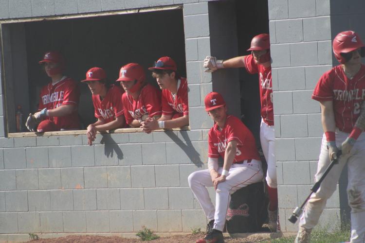 trimble tomcats baseball