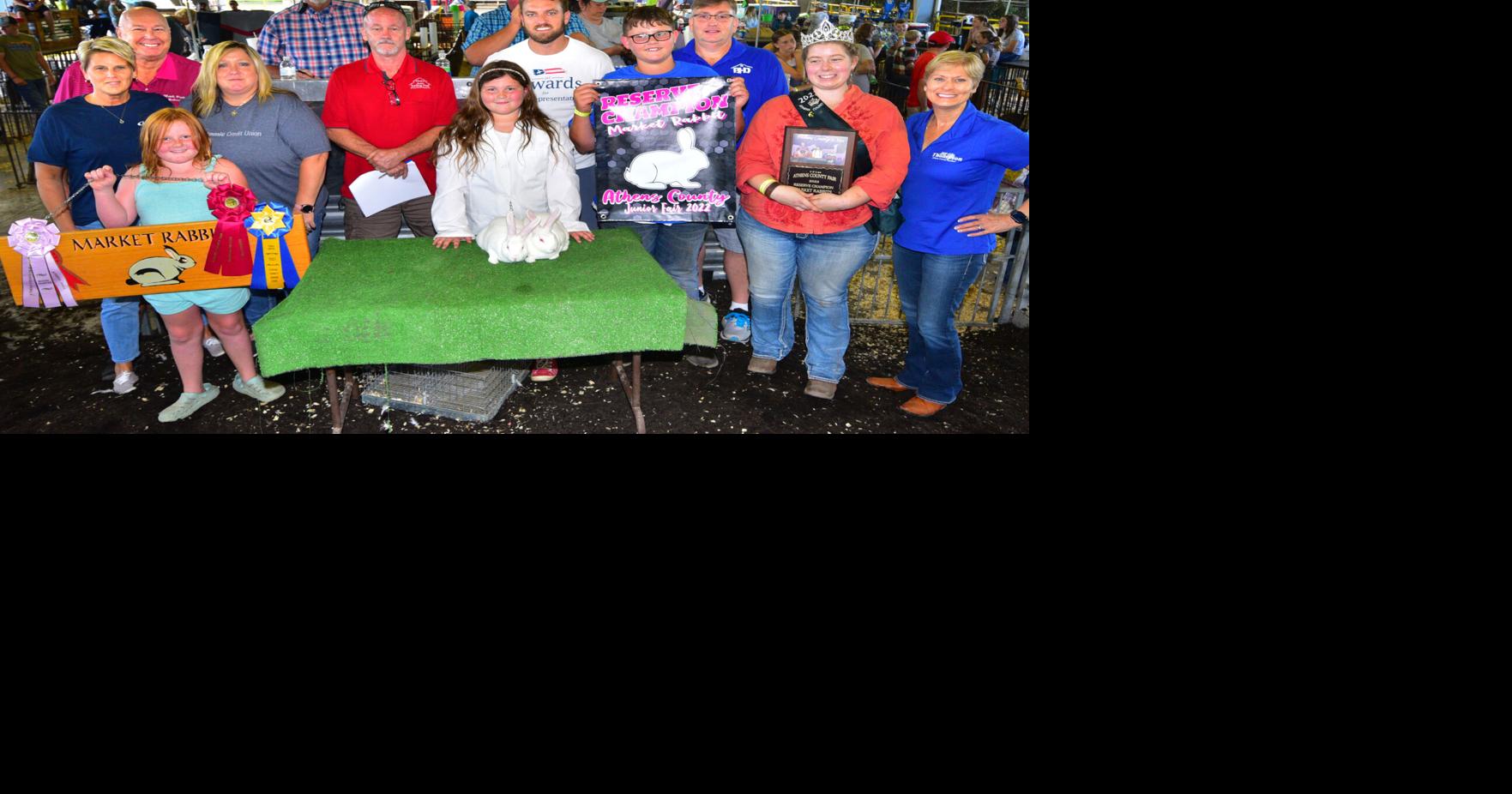 Fair Rabbit Res Champ | Athens County Fair | athensmessenger.com