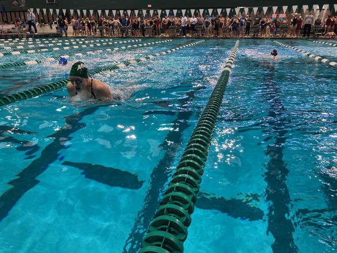 Bulldogs' swim team scores runner-up honors at Sectional meet | Sports ...