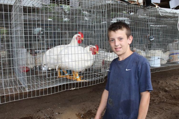 Vinton County Fair | News | athensmessenger.com