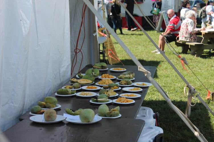 2013 Ohio Pawpaw Festival | Multimedia | athensmessenger.com