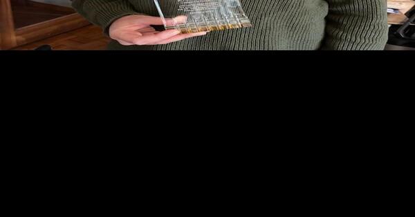 Paul Logue, longtime planner for the City of Athens, dies at 48 | News ...