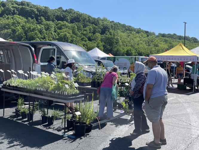 Athens Farmers Market celebrates 50 years | News | athensmessenger.com