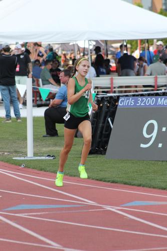 Bulldogs' track stars achieve success at State meet | Sports ...