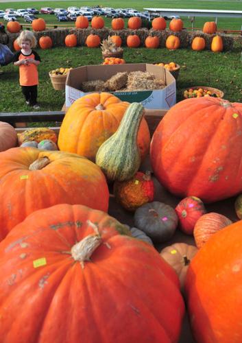 Fall brings cornucopia of festivals to Athens County | News ...