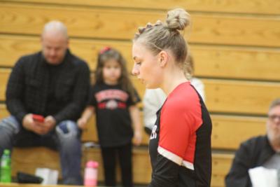 Alexander falls to unbeaten South Webster in district semifinals ...