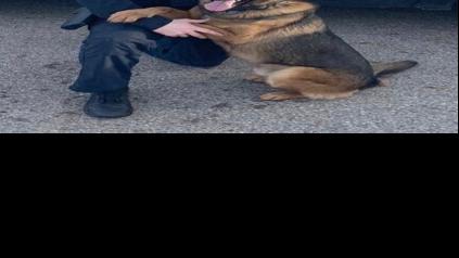 Circleville police officer fired; Black Lives Matter to protest | News ...