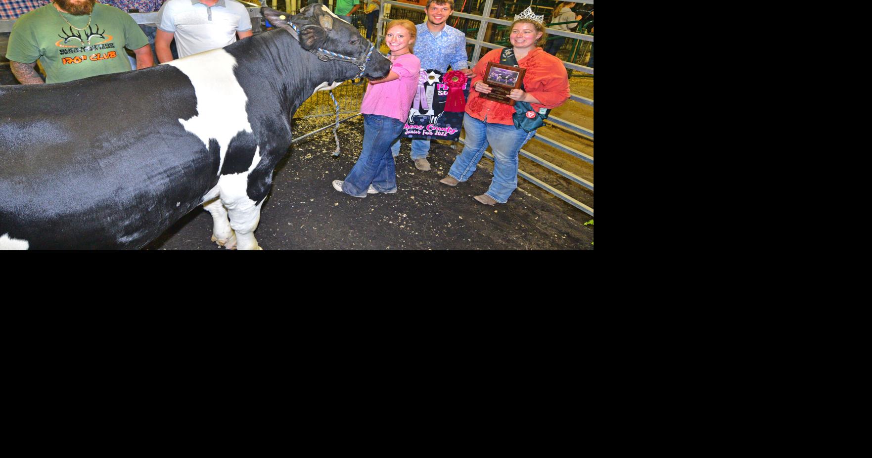 Fair Diary Steer Res Champ | Athens County Fair | athensmessenger.com