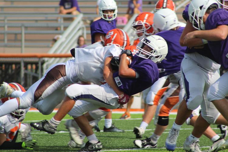 Williams shines through the air for Buckeyes during scrimmage with ...