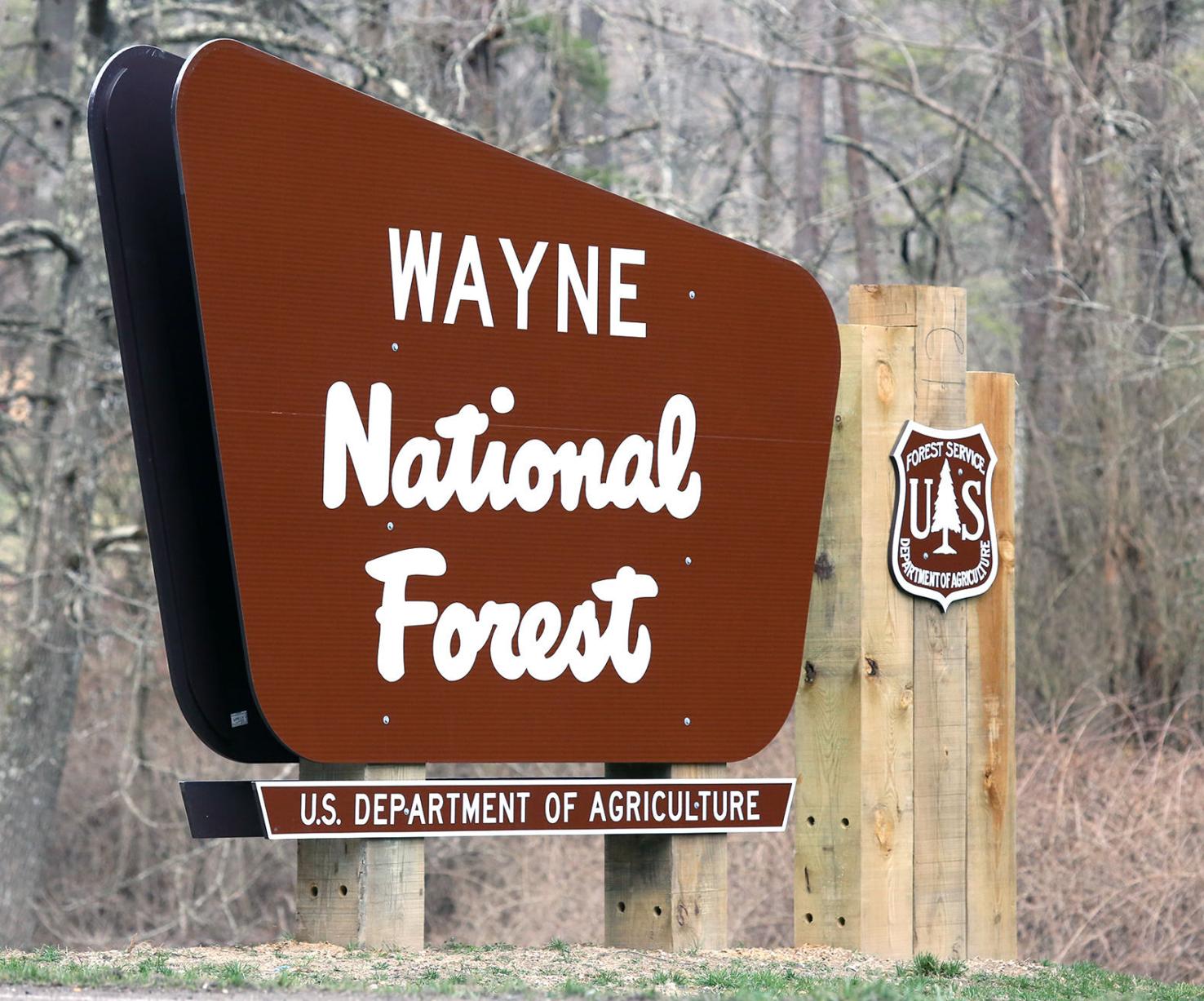 Wayne National Forest launches Junior Forest Rangers Program | News ...